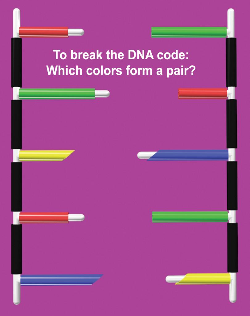 DNA Book & Kit – ScienceWiz