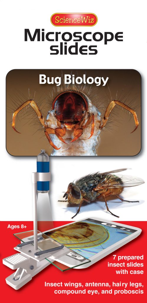 Microscope Slides: Bug Biology – ScienceWiz