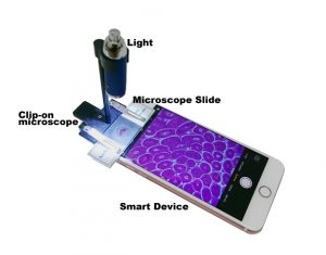 Cells Book & Kit – ScienceWiz