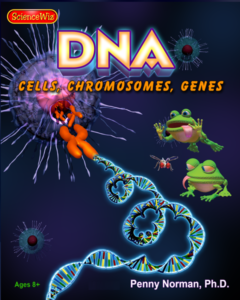 DNA Book & Kit – ScienceWiz
