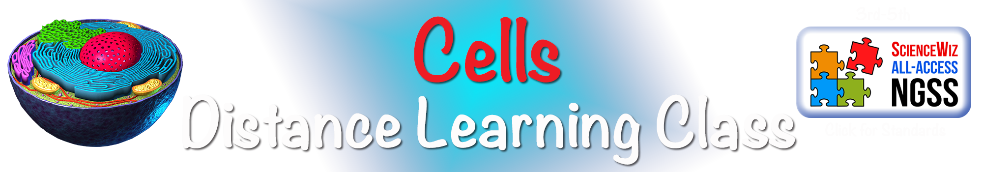 Cells – ScienceWiz