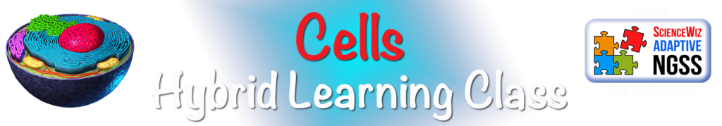 Cells – ScienceWiz