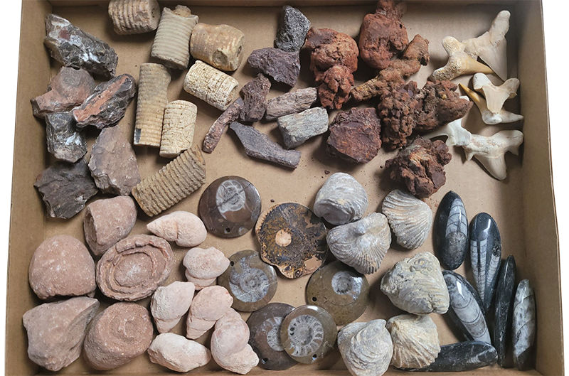 ASTRA Science Kit Session – ScienceWiz