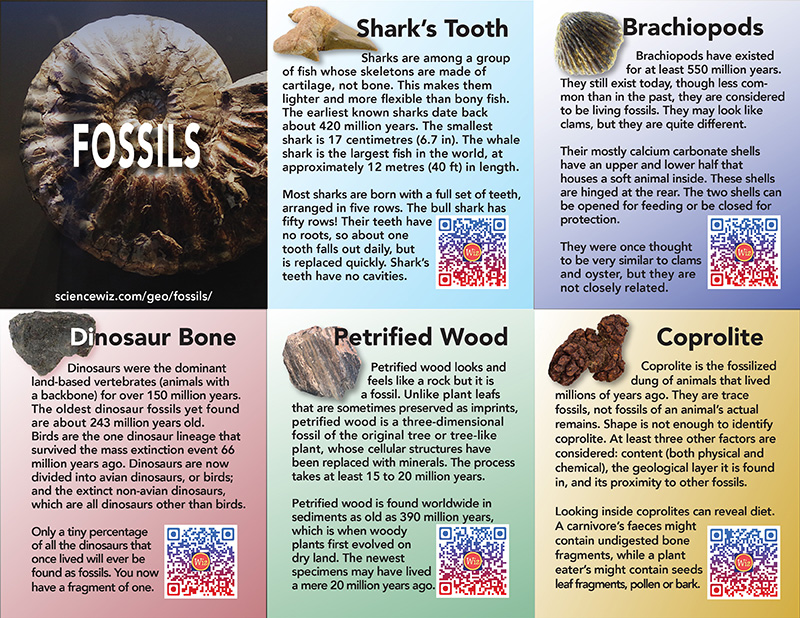 ASTRA Science Kit Session – ScienceWiz