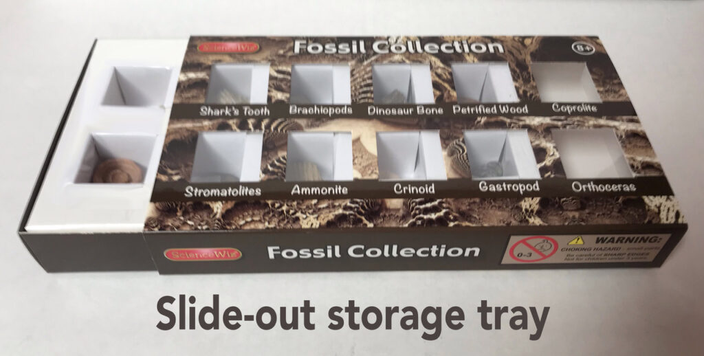 Fossil Collection – ScienceWiz