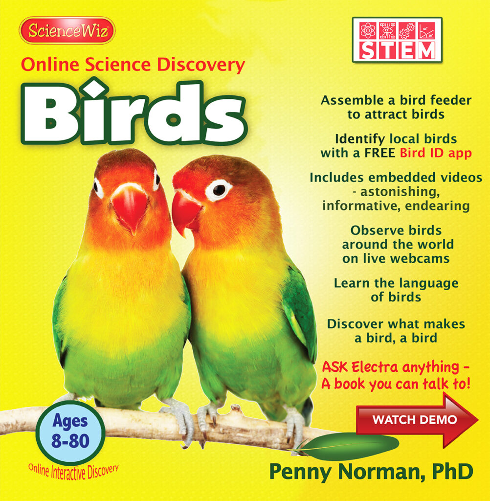 Birds Kit & a book you can TALK to! – ScienceWiz