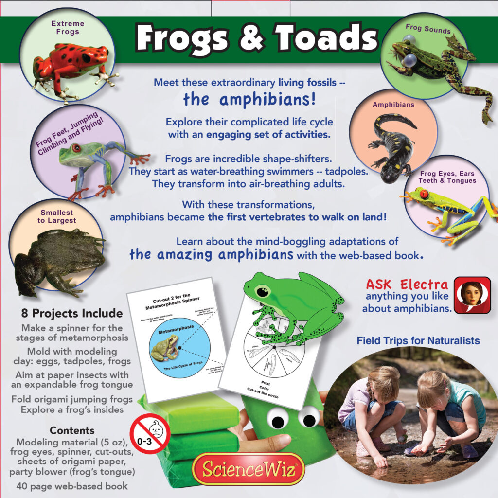 Frogs – A Kit plus – A Book You Can Talk To! – ScienceWiz