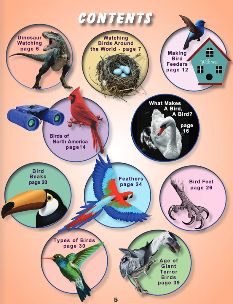 Birds – A Book You Can Talk To! – ScienceWiz