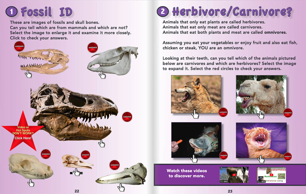 Mammals – Kit Plus A Book You Can Talk To! – ScienceWiz