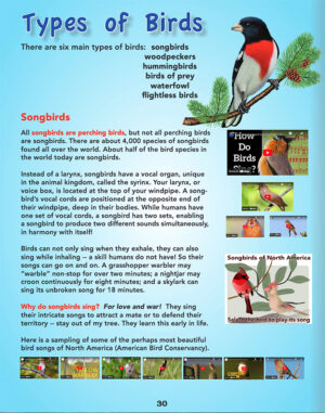 Birds Kit & a book you can TALK to! – ScienceWiz